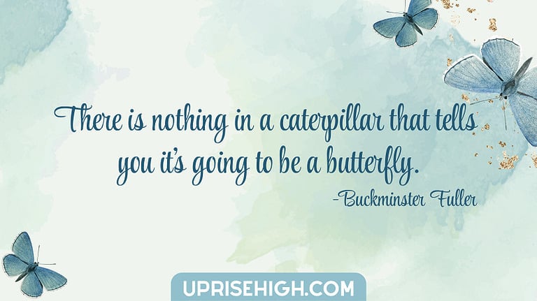 70 "Spread Your Wings" Quotes to Achieve Greatest Heights